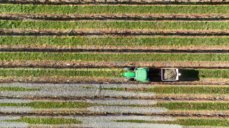 Building a better New Zealand - Simcox Construction